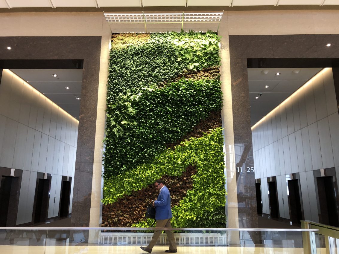 Green Wall at The Exchange – Lam Partners