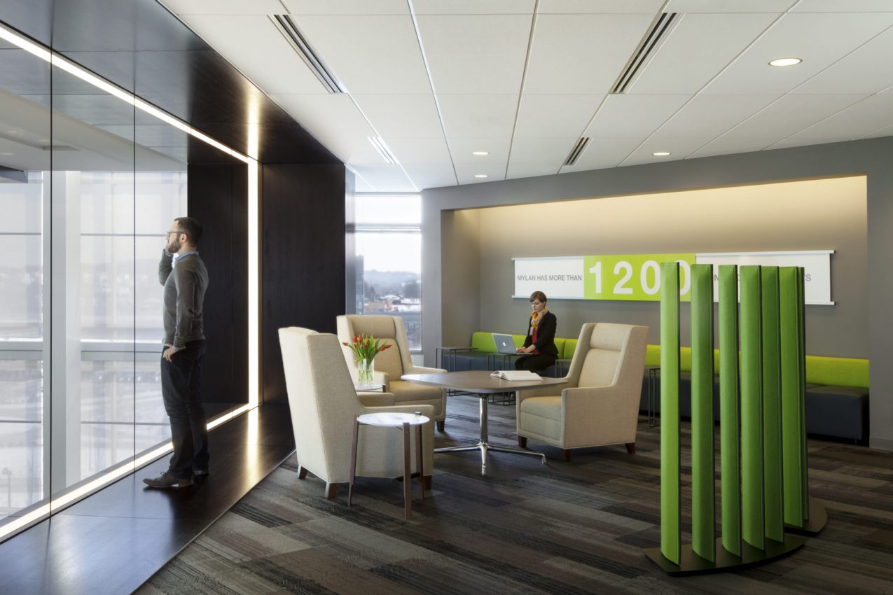 Mylan Inc. Robert J. Coury Global Center – Lam Partners